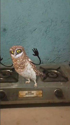 candy shop | candy shop song #candyshop #candyshopchallenge #nehakakkar #tonnykakkar #trend#aestheic