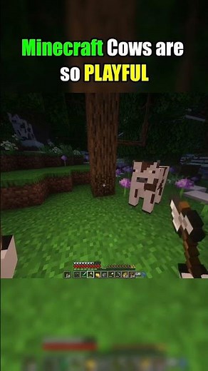 Minecraft Cows are so PLAYFUL