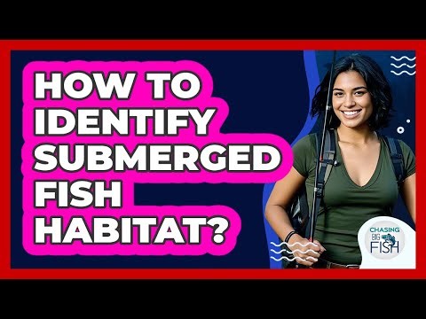 How To Identify Submerged Fish Habitat?