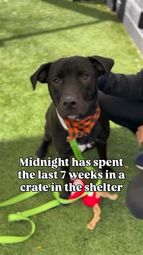 4.3K views · 1.7K reactions | In the back corner of the back room of...