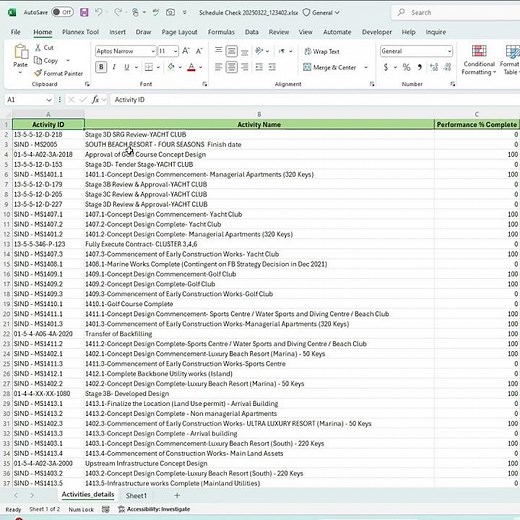 Plannex Excel Tool: Quick Activity List from XER