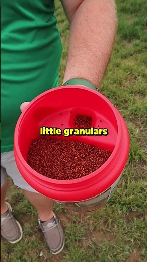 How to get rid of pests in your lawn