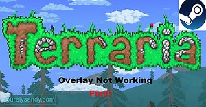3 Möglichkeiten, das Steam-Overlay zu beheben, das auf Terraria nicht funktioniert