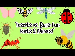 "Insects and Bugs for Kids: Names, Differences, and Fun Facts!"