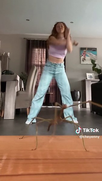 Cheyenne Ingels on TikTok