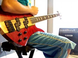 Schism Bass Cover - Tool