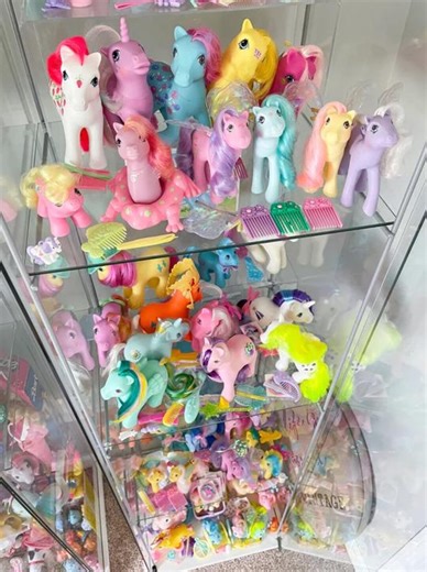 Buy Complete My Little Pony G1 Collection – 150  Vintage 1980s Hasbro Ponies With Rare Figures & Accessories – MLP Lot Online in India - Etsy