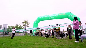 18K views · 110 reactions |  Dog trail races that allow people and their dogs to navigate off-road obstacle courses in tandem are growing popular in China, as the pace of pet ownership and active lifestyle pursuits picks up https://reut.rs/3URNzce | Reuters | Facebook
