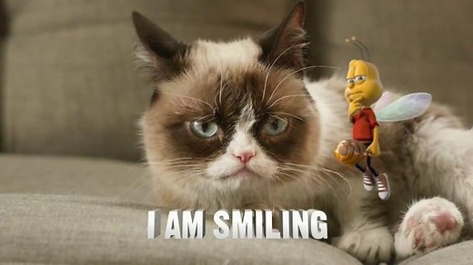 Honey Nut Cheerios TV Spot, 'Buzz Meets Grumpy Cat'