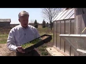 Using a Cold Frame