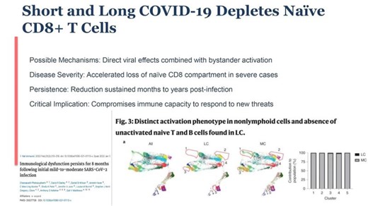 Imunodysfunction from SARS-CoV-2 -- Dr Anthony Leonardi, MBBS, PhD | Kevin Kavanagh