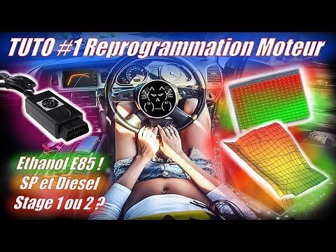 TUTORIAL #1 ENGINE REPROGRAMMING & MAPPING - §1 The Basics