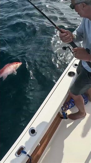 "Monster Red Snapper Hooked – Epic Fight!"