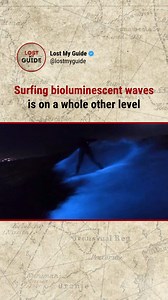 58K views · 1.3K reactions | Would you surf in pitch black water?...
