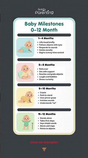 Baby Development Month by Month | Baby Milestones in the First Year