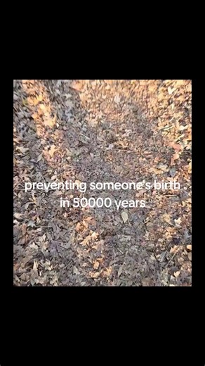 terrified vids on Instagram: "The butterfly effect describes how tiny, seemingly insignificant actions can trigger massive consequences over time. Coined from chaos theory, it suggests that something as small as a butterfly flapping its wings could eventually influence the formation of a hurricane weeks later. In complex systems, small changes don’t stay small — they compound. In real life, this plays out constantly. A missed phone call alters a relationship. A delayed flight puts two strangers