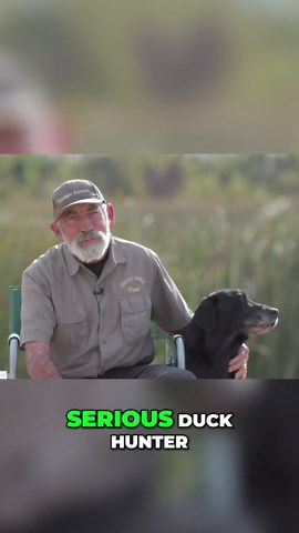 Essential Hand Signals Every Duck Hunter Must Teach Their Dog