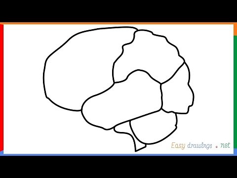 How to draw a Brain step by step for beginners