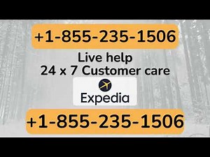 8 Ways To Access Expedia Customer Service By Phone, Chat And Email: A Step-by-step Guide