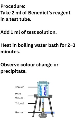 Benedict’s Test Explained in 60 Seconds 🧪 | Reducing Sugar Test & Colour Chart