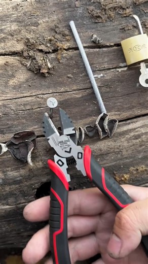 Delixi 6-inch Diagonal Pliers (Effort-Saving) #HardwareTools #DiagonalPliers #Pliers | Electrical Tricks