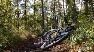 Relaxing hikes on empty forest paths, speedy road bike rides on sleek asphalt - the mother's day weekend was another weekend of great tours and new discoveries, some of which we'll share with you this week - such as Groenke's MTB round in Sweden: https://www.komoot.com/tour/16563555 #touroftheday | komoot
