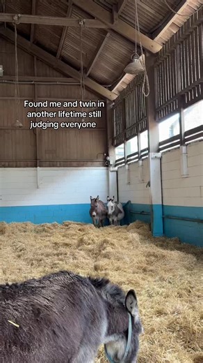 Exploring Friendship Across Lifetimes