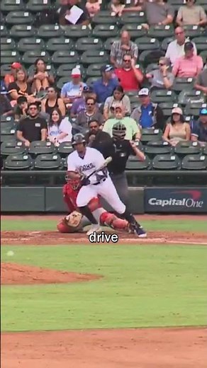 Baseball SMACKS Bird on Field! ⚾😱 (MiLB)