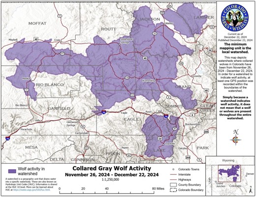 Here’s where Colorado’s gray wolves traveled in December