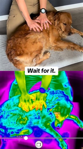 744K views · 1.9K reactions | Wait for it….. This was a gentle...