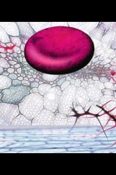 Meteos DS: Globin Demonstration