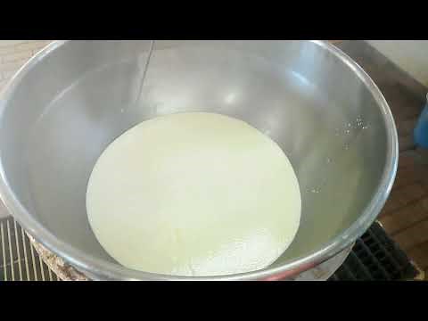 Como hacer Queso Oaxaca