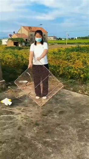 75K views · 582 reactions | INSANE Bird Prey Capture Techniques #birds #birdmaster #hunting #funny #catchingpigeon #birdhunting | Sabbir Nb | Facebook