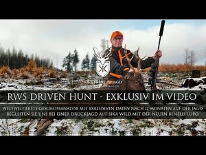 Driven hunt in the Sauerland - RWS Driven Hunt in action - Bullet analysis after 12 months in use