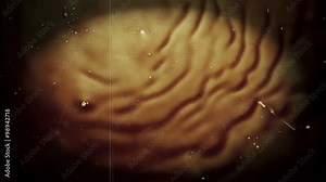 Grunge Old School Reveal. Modern matte reveal with a vintage twist. Great when adding layer modes and mattes.