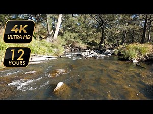 12 HOURS of 4K Relaxing Outdoor Running Stream Sounds Water Running & Trickling Stream Sounds