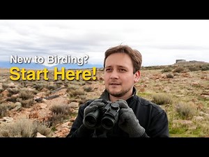 10 Beginner Birding Tips I Wish I Knew From Day One
