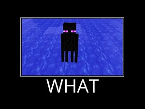 WAIT WHAT (Minecraft) #5