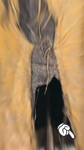 Understanding Modesty in Islam: A Deep Dive