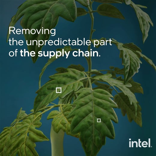 Computational muscle for effective inferencing #StartsWithIntel💪 Discover how Nature Fresh is using #OpenVINO optimize the supply chain, from seed to shelf, using #IntelAI to eliminate waste and bring fresher food to customers 👉 https://intel.ly/3WoLTrW #IamIntel #Intel #AI | Intel