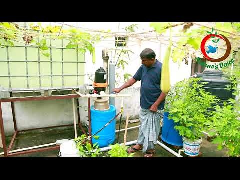 Grow Your Own Food II Intensive Fish Farming on Terrace