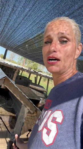 3.3K views · 104 reactions | Permethrin 10.. I will be spraying my birds too | Texas Chicken Ranch of De Leon | Facebook