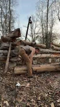 Stacking the doorway for Massive Log Cabin Project #logcabin #cabin #bushcraft #outdoors #camping