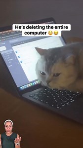 Unfortunately every cat loves doing this 😂 | Thetreadmillguy