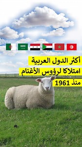 6.3M views · 53K reactions | نستعرض لكم أصدقائي الكرام في هذا الفيديو...