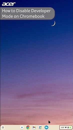 Chromebook - How to Disable the Developer Channel