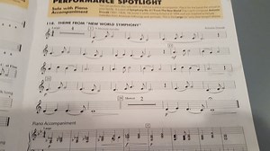 Practical Experience