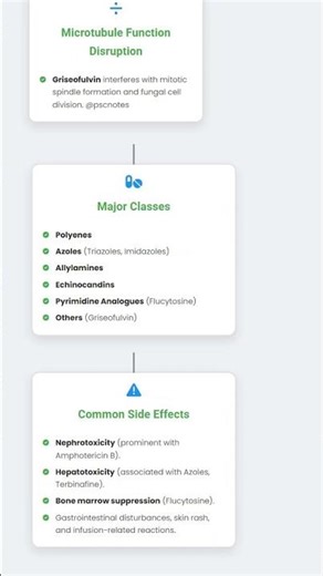 Antifungal Drugs: Mechanisms of Action, Classes, and Side Effects