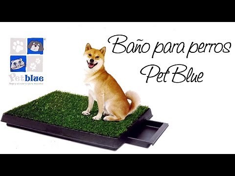 Baños para perros Pet Blue | Unicas.pe