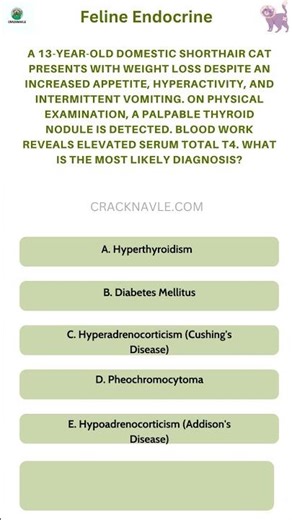 CRACK NAVLE - NAVLE STYLED QUESTIONS
